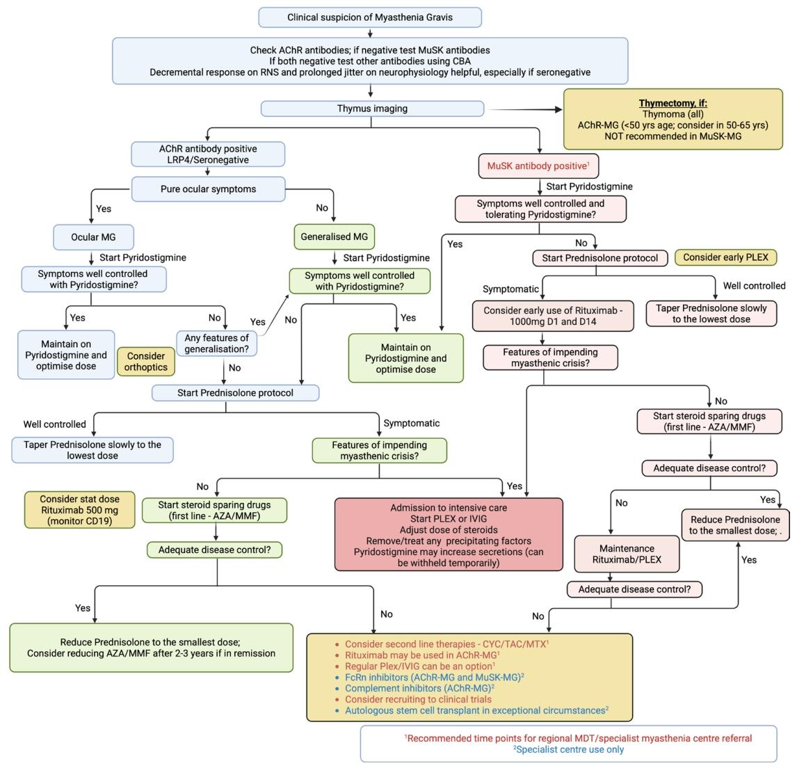 2025 ABN重症肌无力管理指南更新：4大核心变化+诊疗全流程梳理 - 海默医学