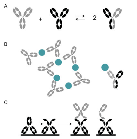 IgG4 介导的自身免疫疾病 - 海默医学
