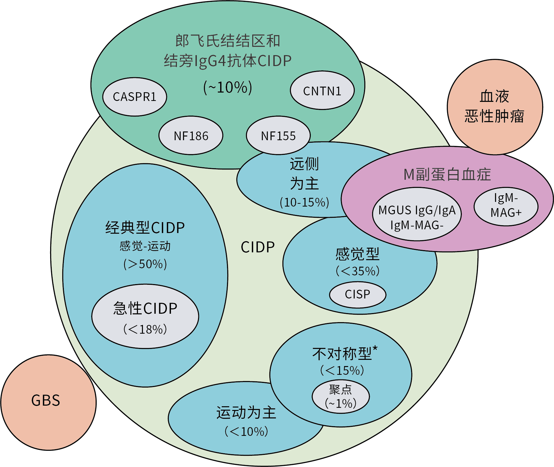 CIDP的自身抗体检测 - 海默医学